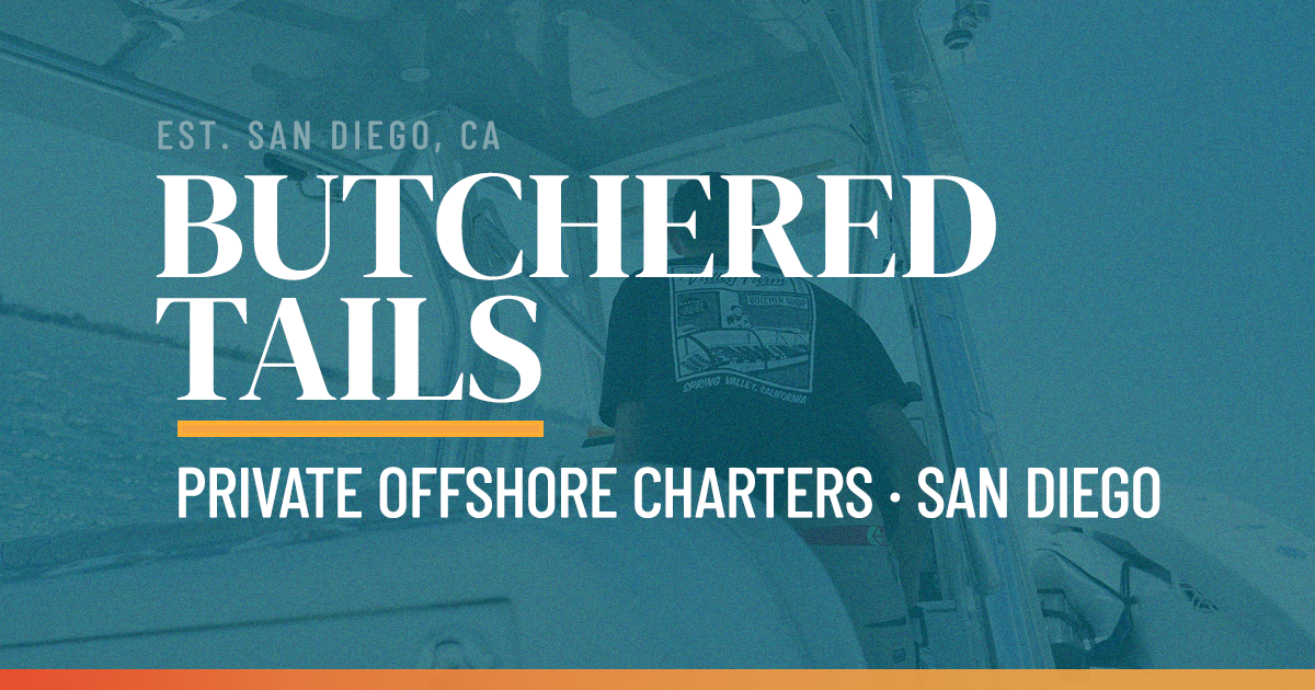 Yellowtail Fishing in San Diego: A Complete Guide for the 2026 Season ...